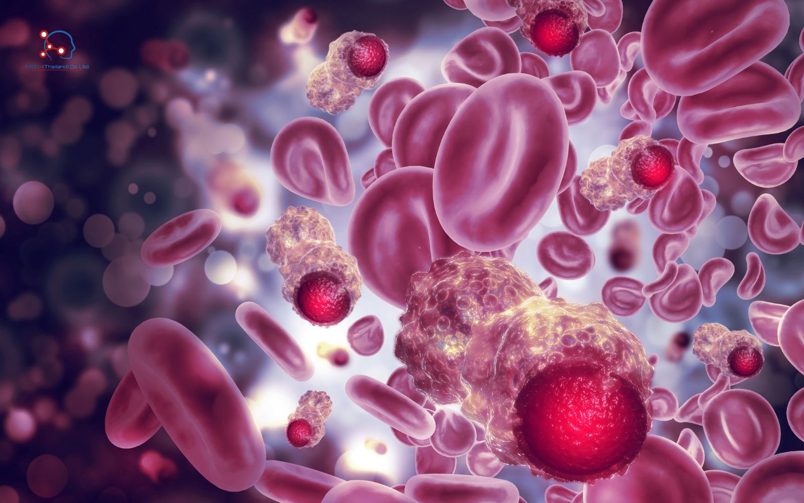 How Does Cancer Work? A Simple Guide to Understanding the Disease